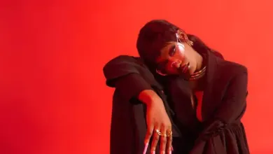 Tomi Ojo Biography, Age ,Net Worth, Wiki, Real Name, Children ...