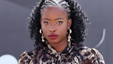 Amanda Gorman Biography, Age ,Net Worth, Wiki, Real Name, Children ...