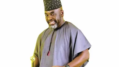 Funsho Adeolu Biography, Age ,Net Worth, Wiki, Real Name, Children ...