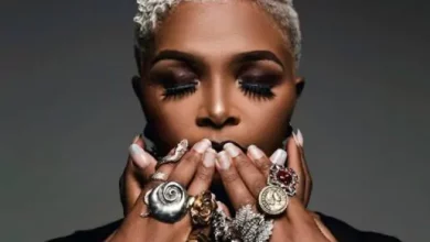 Simphiwe Dana Biography, Age ,Net Worth, Wiki, Real Name, Children ...